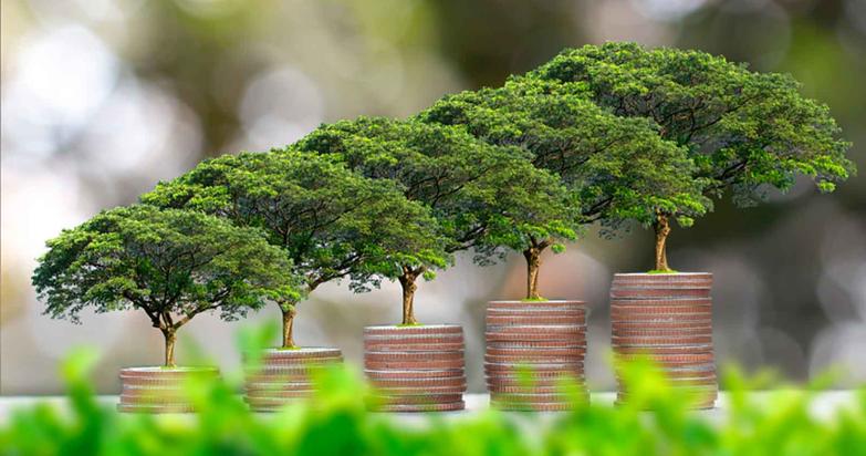 Boom de inversiones verdes en América Latina: las finanzas sostenibles ...