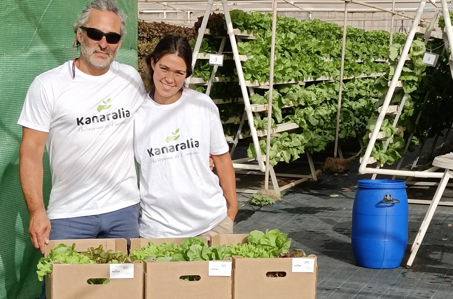 "Ensaladas premium": Los secretos de la hidroponia y cómo emprender ...