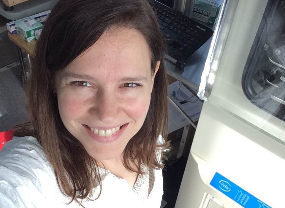 Biomateriales: investigadora argentina usa el gusano de seda para reparar tejidos - Forbes Argentina