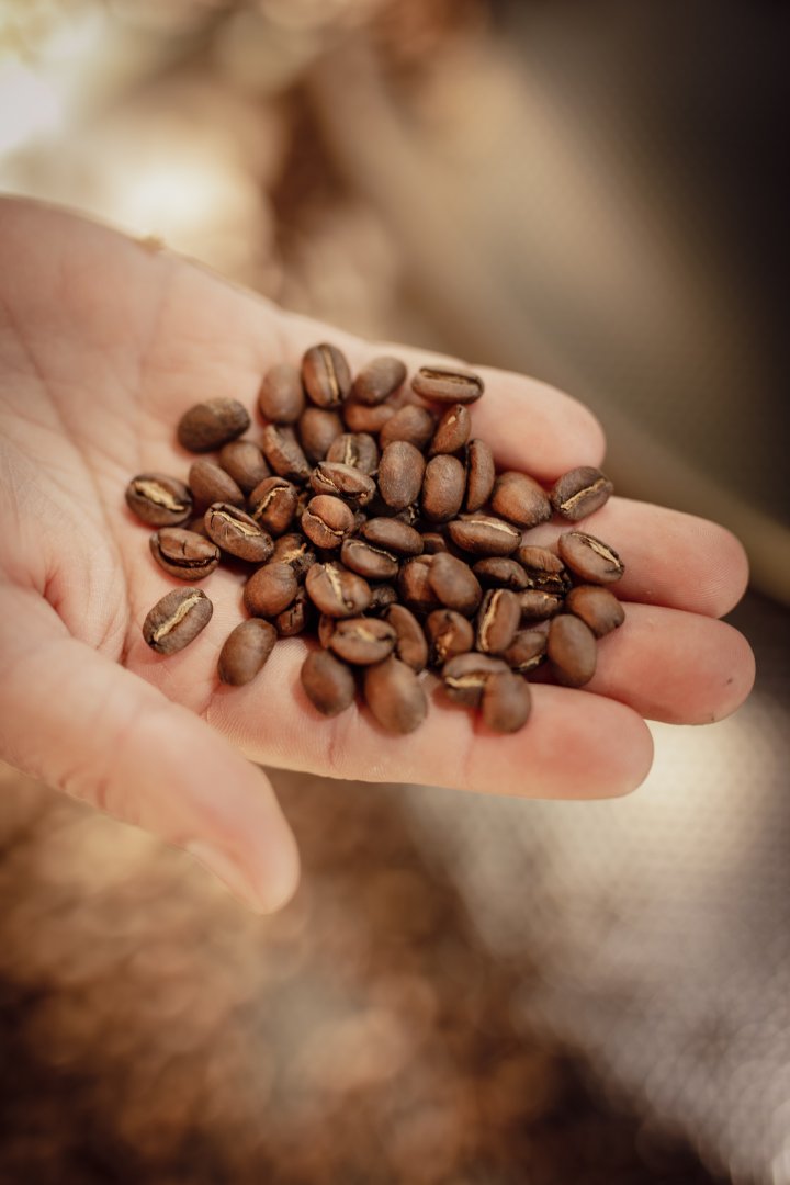 Café Geisha: ¿Por qué pagar casi 10.000 pesos por 125 gramos de café ...