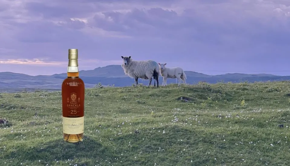 El mejor whisky escocés de pura malta del mundo, según los Scotch Whisky Masters de 2024 ...