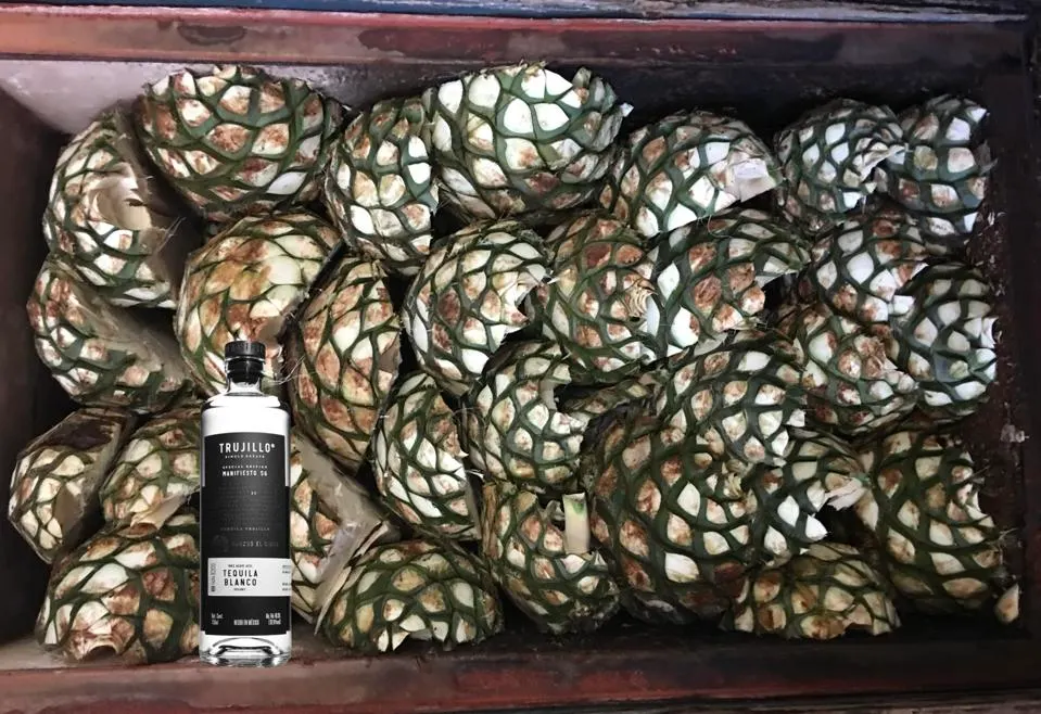 Este es el mejor tequila del mundo, según The 2025 Agavos Awards ...